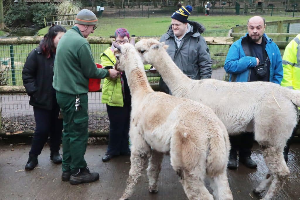 Animal Husbandry - Walton Lea Partnership