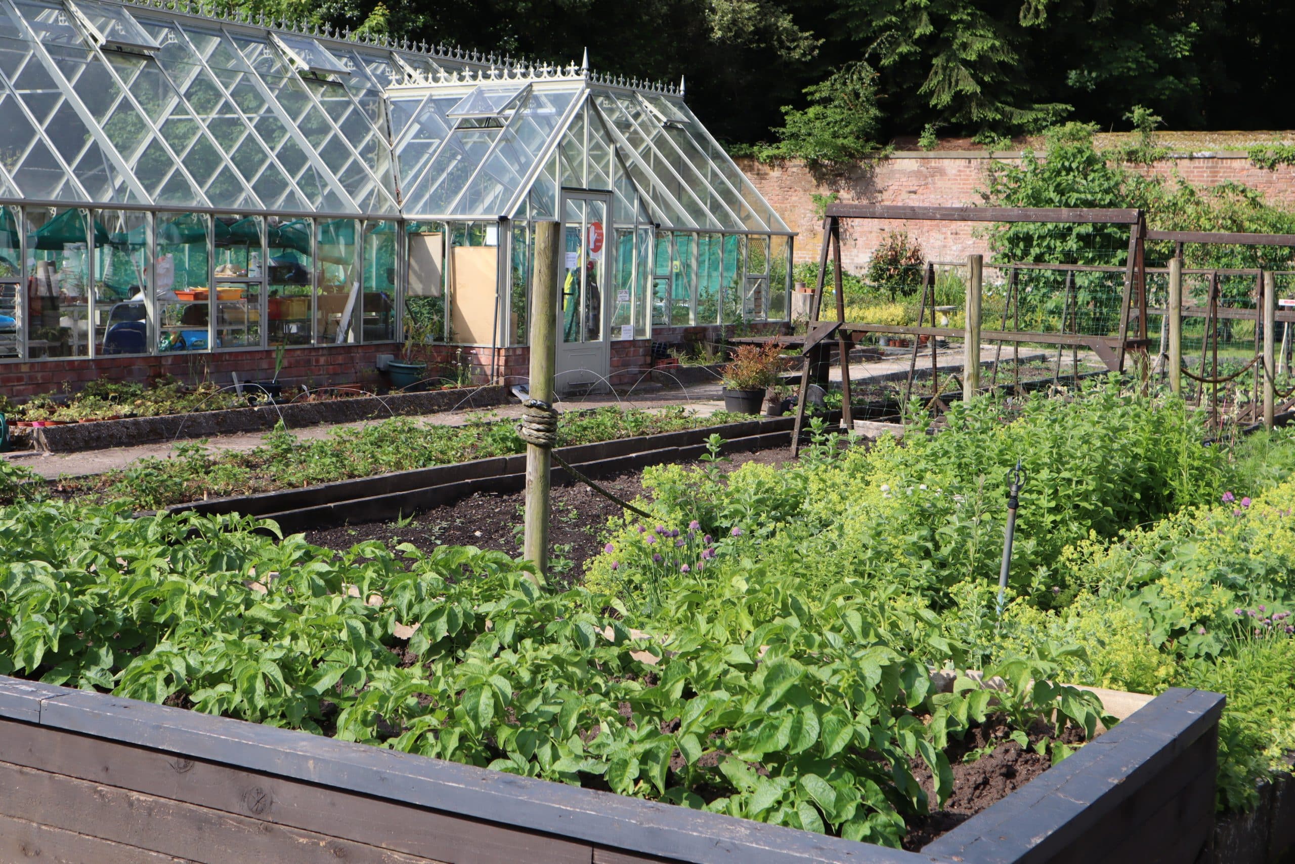It's Busy In Our Garden! - Walton Lea Partnership